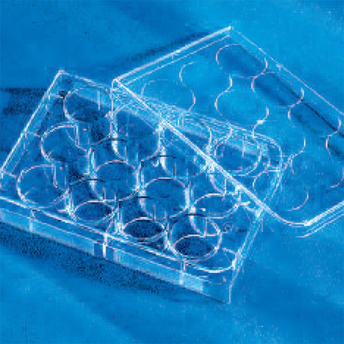 Corning #3513 12 Well Clear TC-Treated Microplates, 1/pack, 50 plates/case