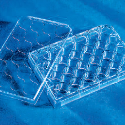 Corning #3473 24 Well Clear Flat Bottom ULA Microplates, 1/pack, 24 ...