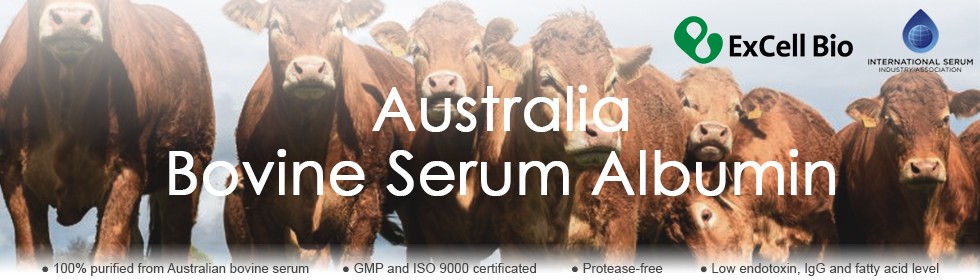 Welcome to Genetimes ExCell Gmall