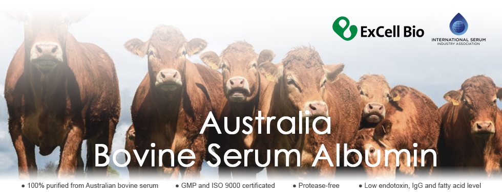 Welcome to Genetimes ExCell Gmall