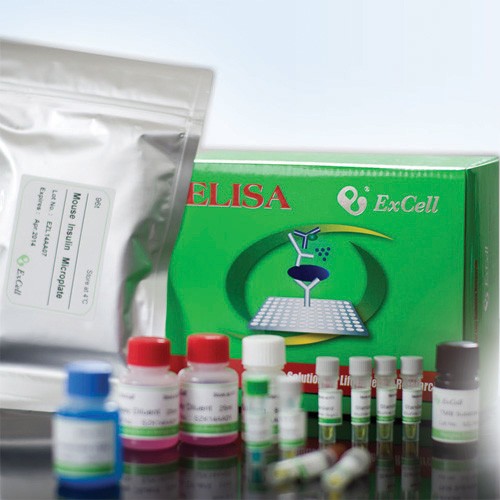 ExCell #EH043-96 Human BDNF ELISA kit, 96t